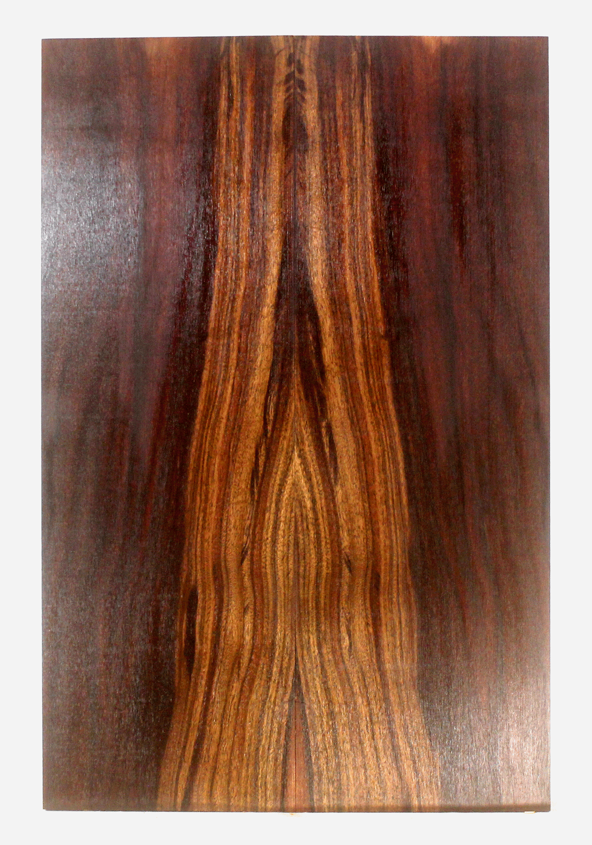 Claro Walnut Electric Solid Body Drop Top, add Color and Contrast of C ...