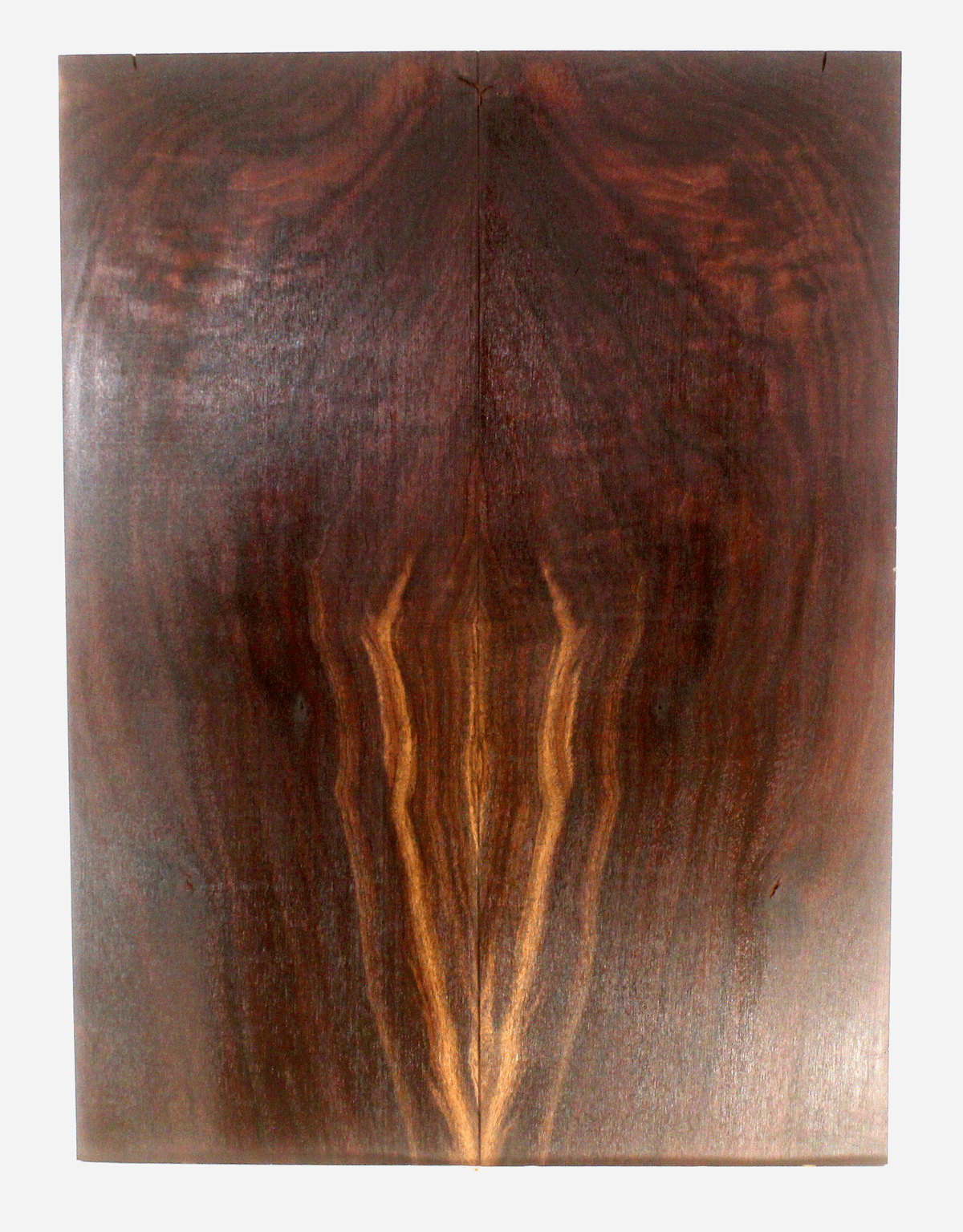 Claro Walnut Electric Solid Body Drop Top, add Color, Contrast, and Fi ...