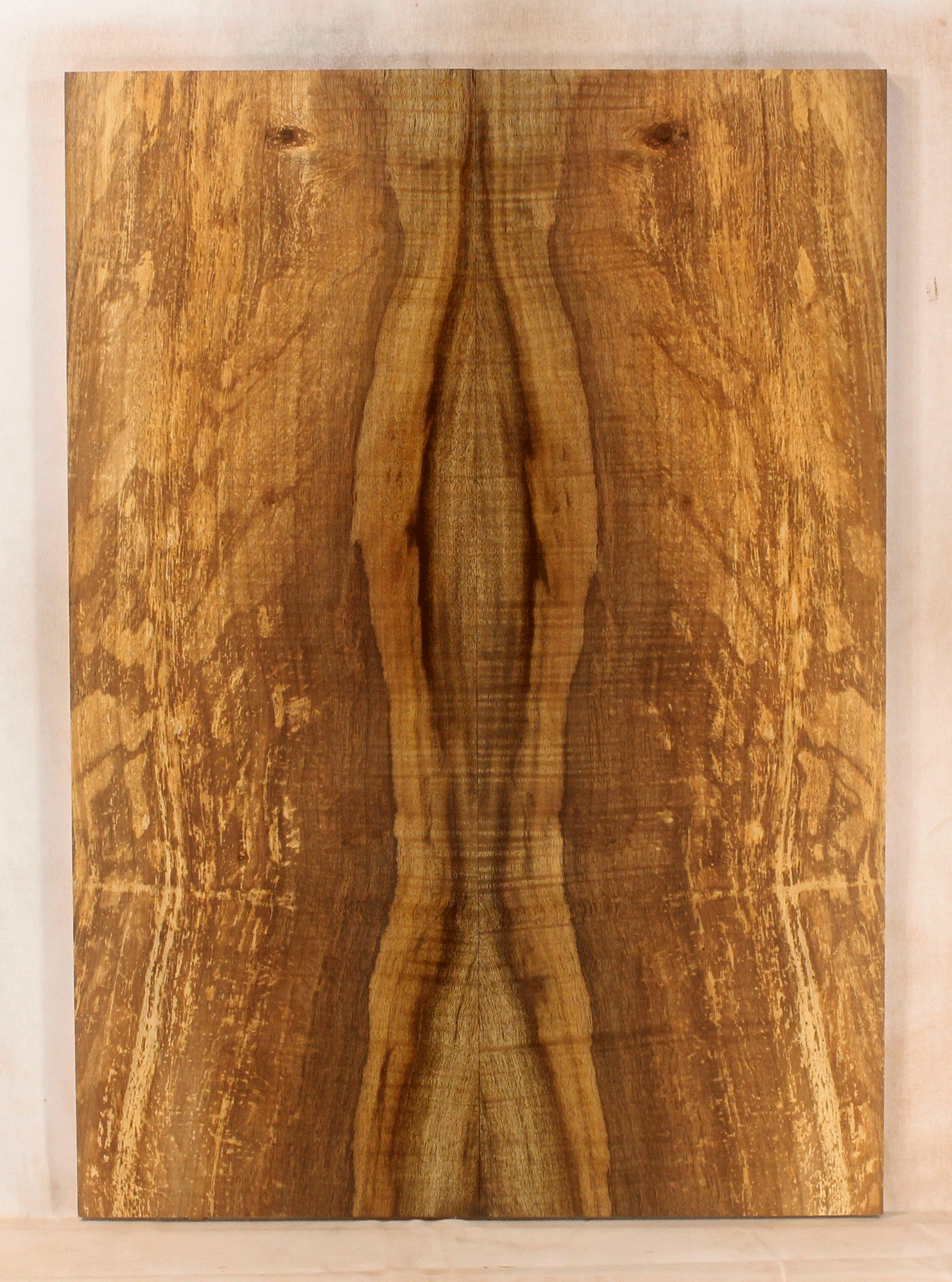 Myrtle Electric Solid Body Fat Top Guitar Top, Amazing Color and Contr ...