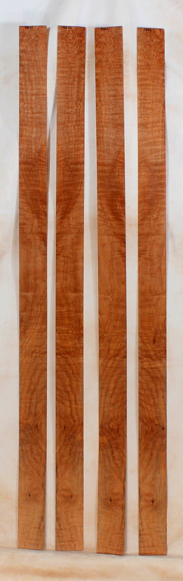 Maple Bow Veneer (SQ06) — Wood From the West