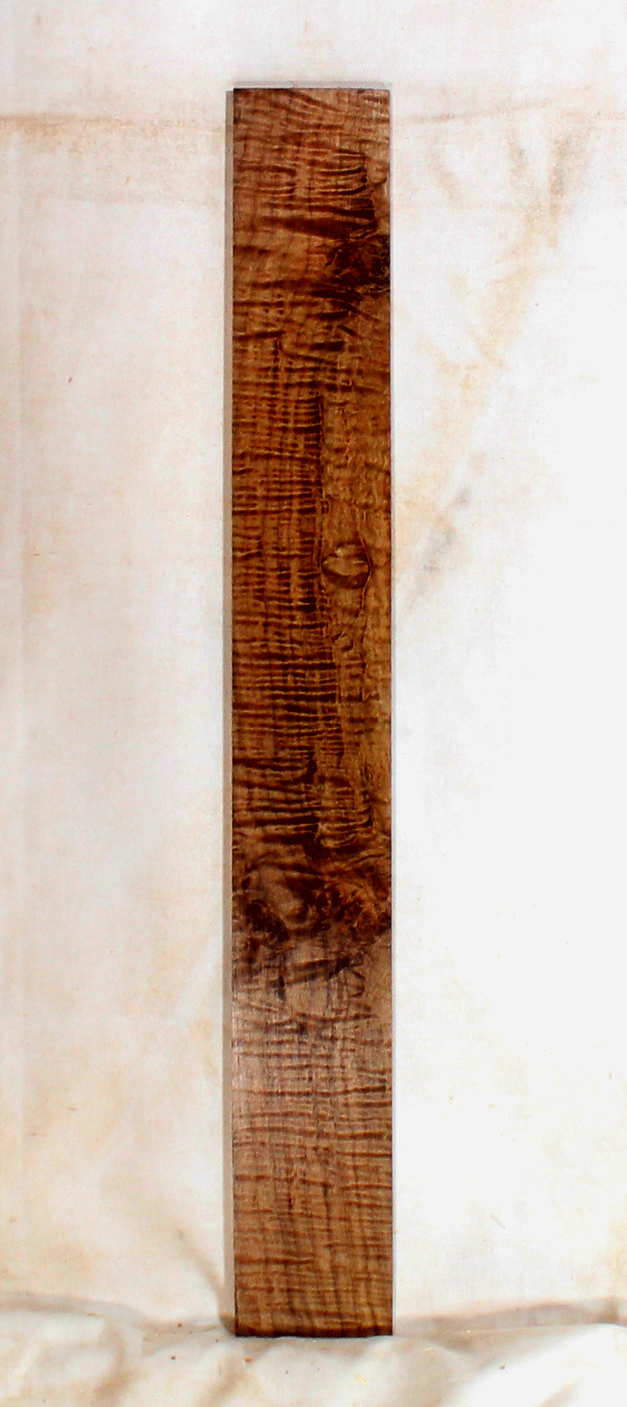Maple Guitar Fingerboard Stabilized (GF06) — Wood From the West