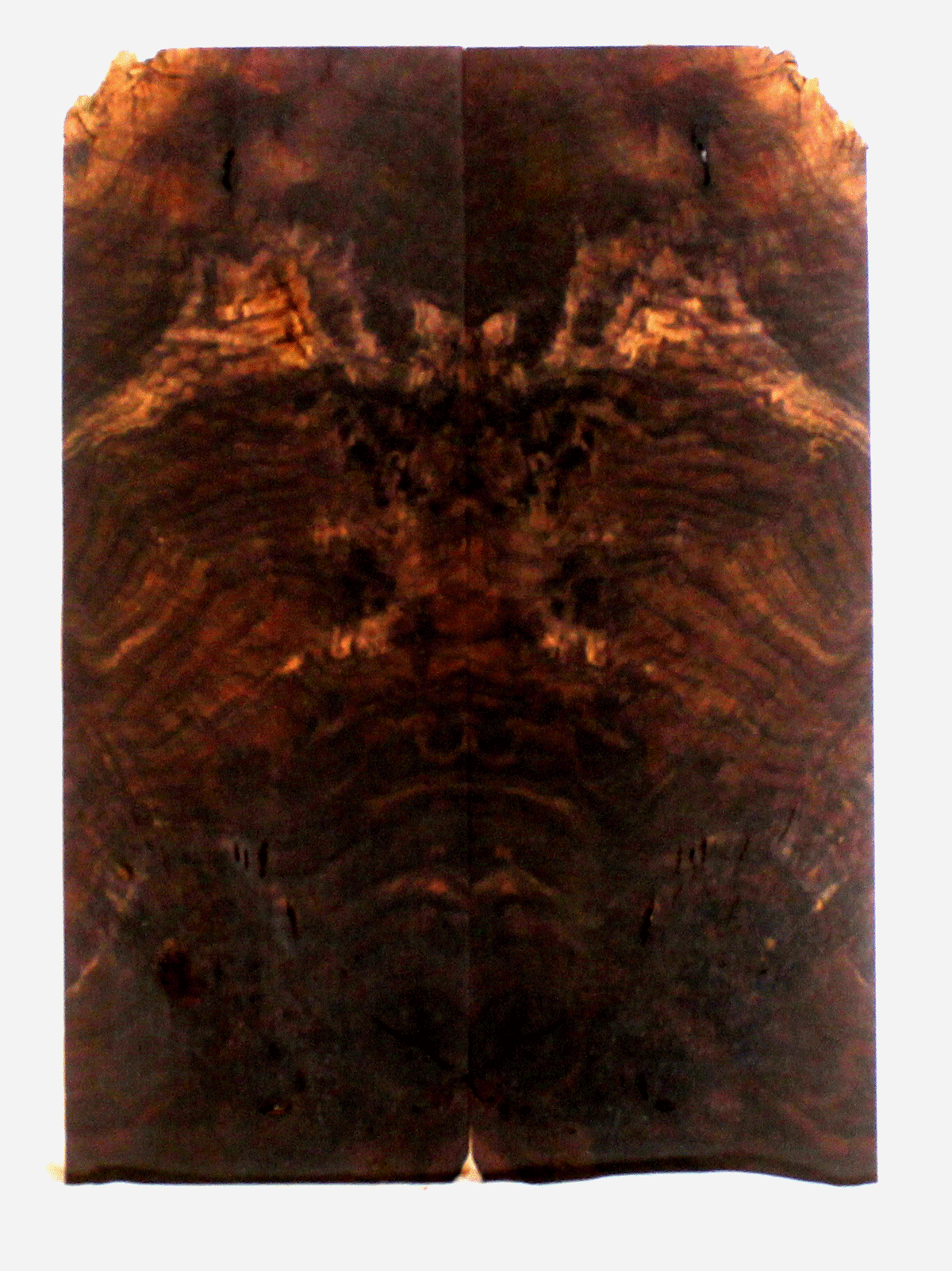 Claro Walnut Solid Body Drop Top (KA91) — Wood From the West